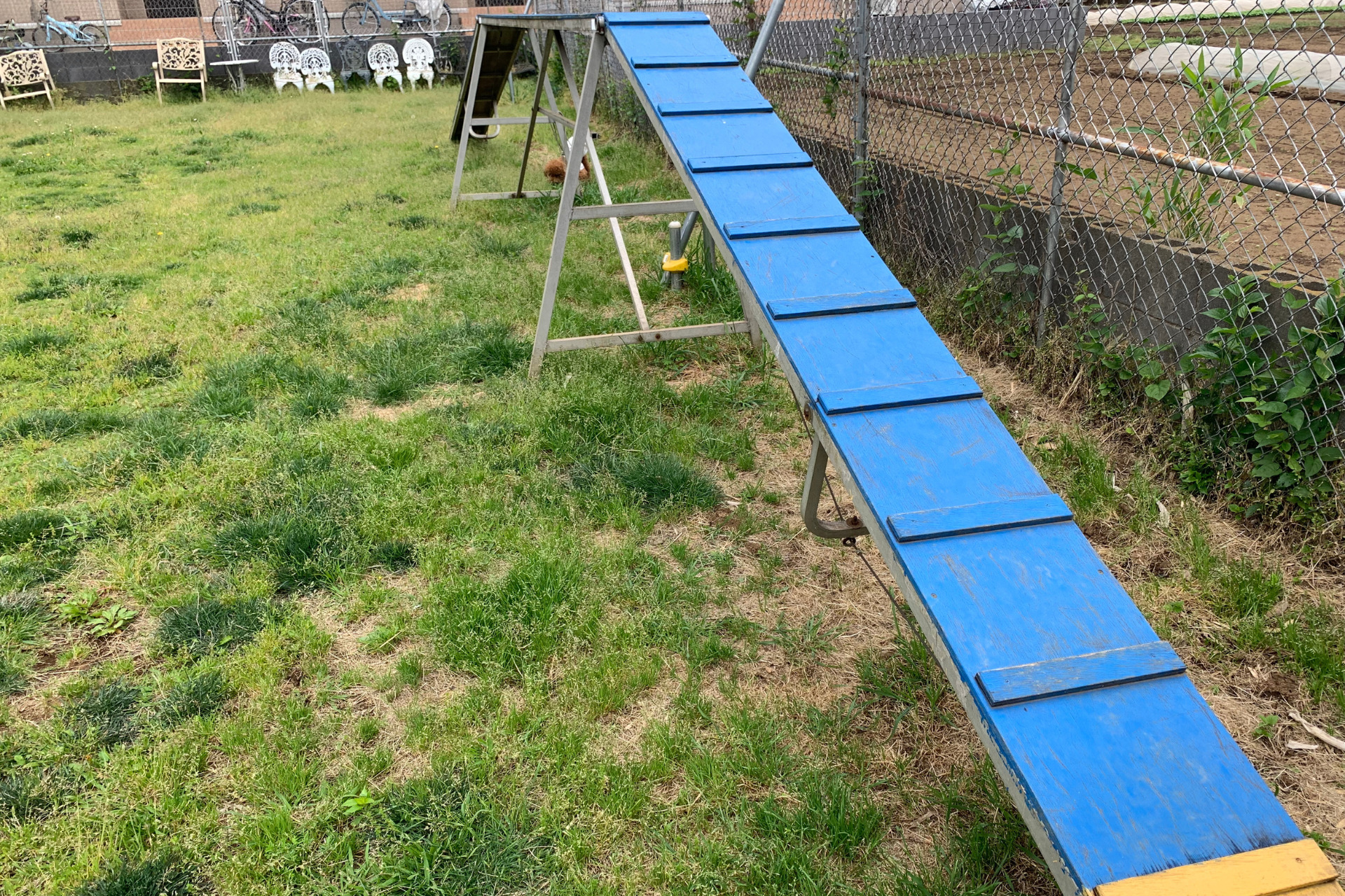 ドッグカフェ「BUBU’S PAW（ブブズポー）」についてご紹介！【千葉県松戸市】 | ハルから目が離せない