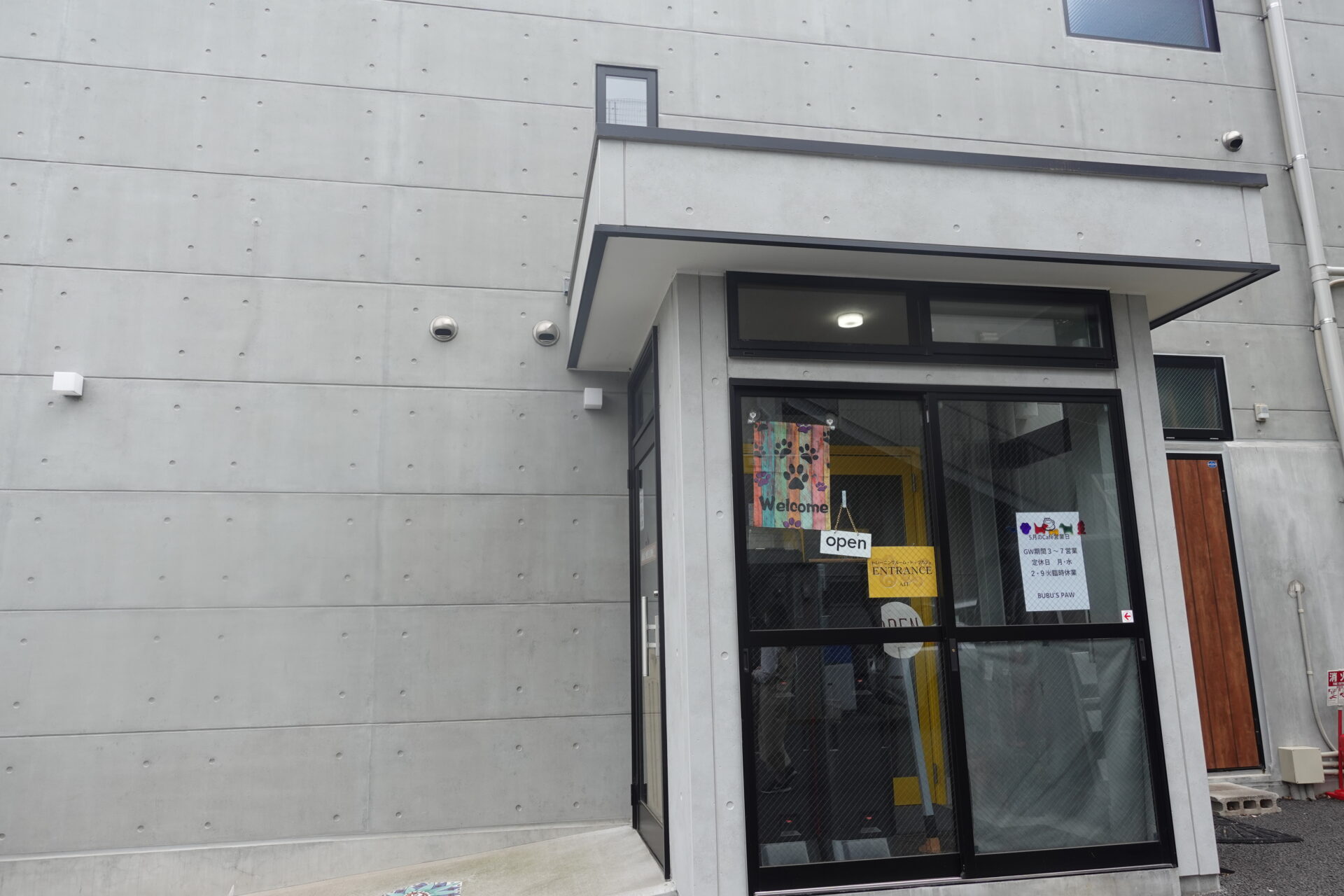 ドッグカフェ「BUBU’S PAW（ブブズポー）」についてご紹介！【千葉県松戸市】 | ハルから目が離せない