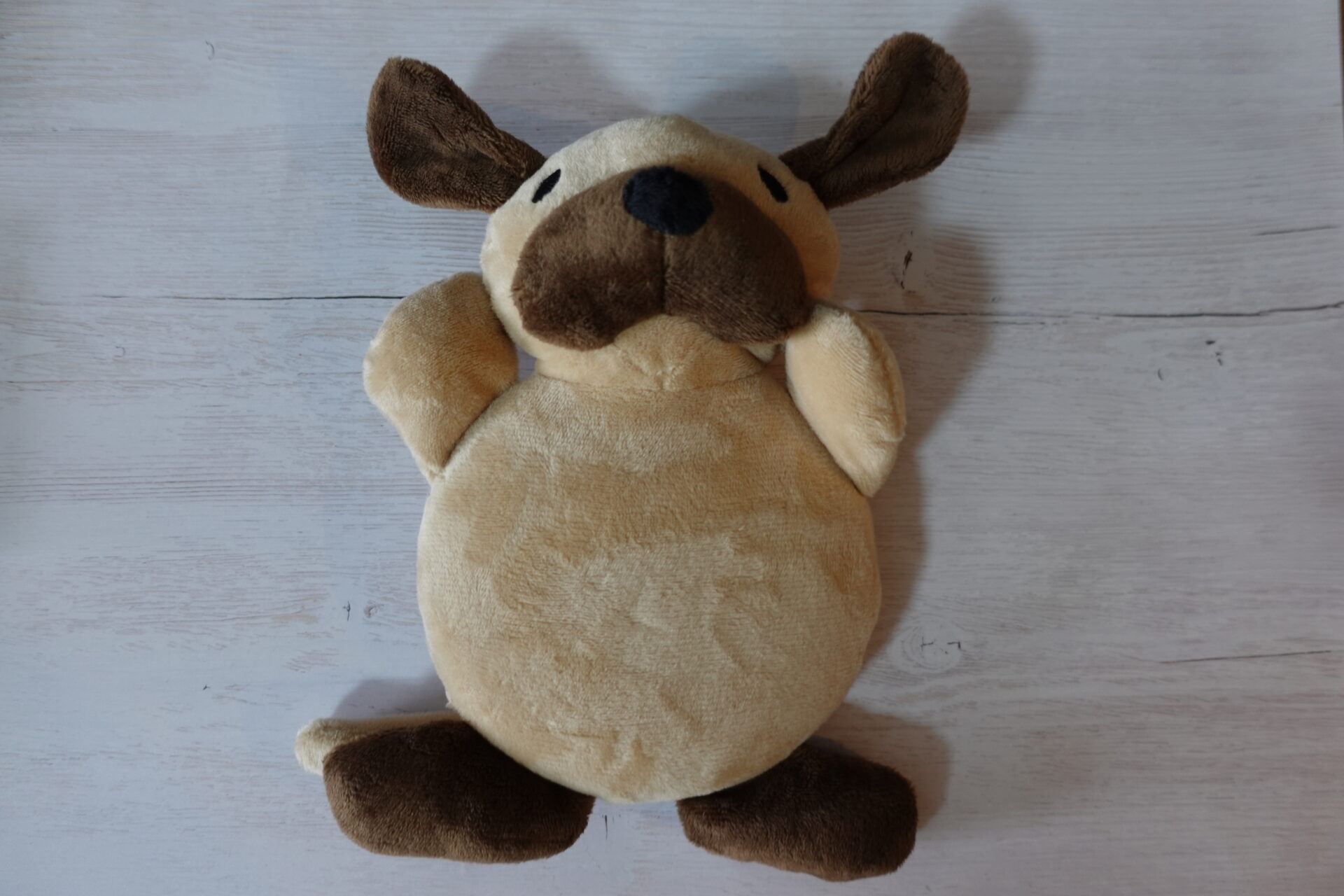 【カインズ】犬にしか聴こえない音がするおもちゃ「サイレント動物TOY」を徹底レビュー！ | ハルから目が離せない